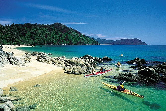 Oarsome Marine Reserve Kayak Tour - The Experience of the Water Taxi & Scenic Views