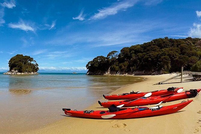 Oarsome Marine Reserve Kayak Tour - Guides and Their Impact on the Experience