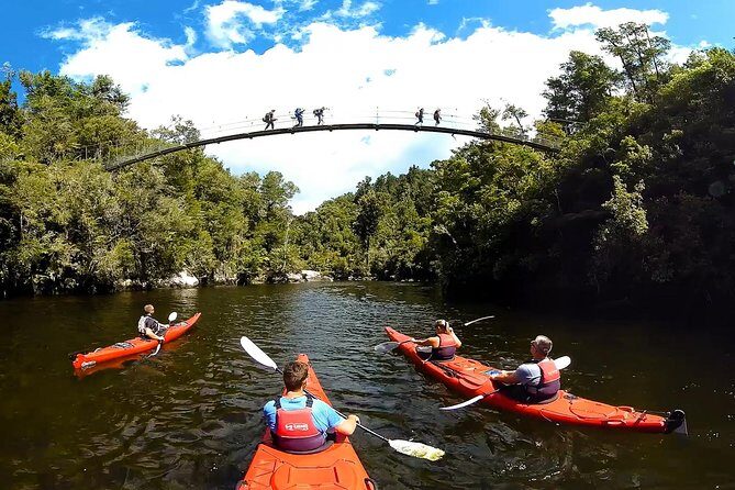 Oarsome Marine Reserve Kayak Tour - Who Will Love This Tour?