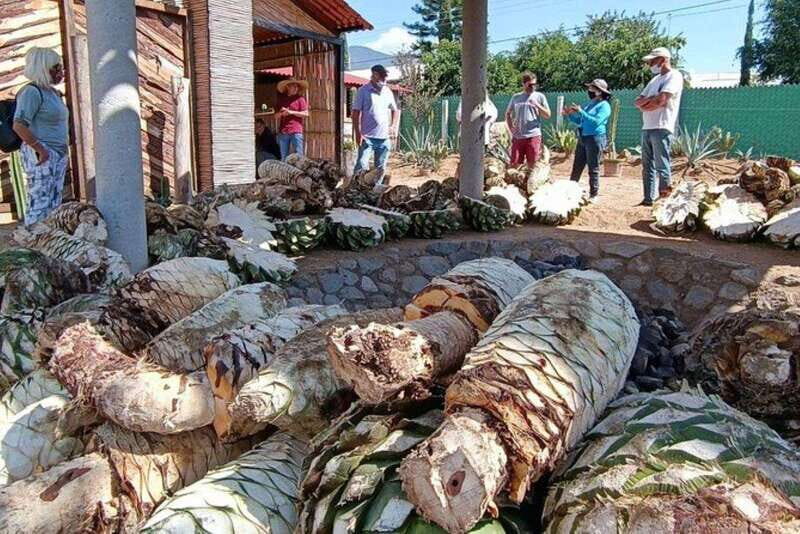 Oaxaca: Ancestral Mezcal Experience - A Tour That Celebrates Oaxaca’s Spirit and Culture