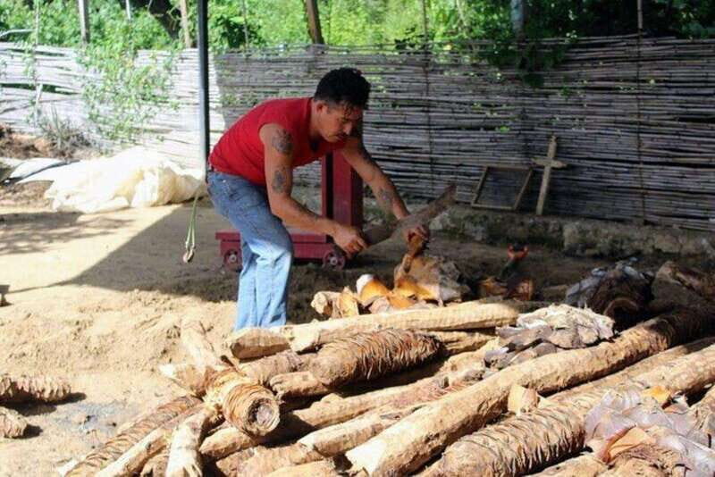 Oaxaca: Ancestral Mezcal Tasting in Ocotlan Valley - Who Would Benefit Most?