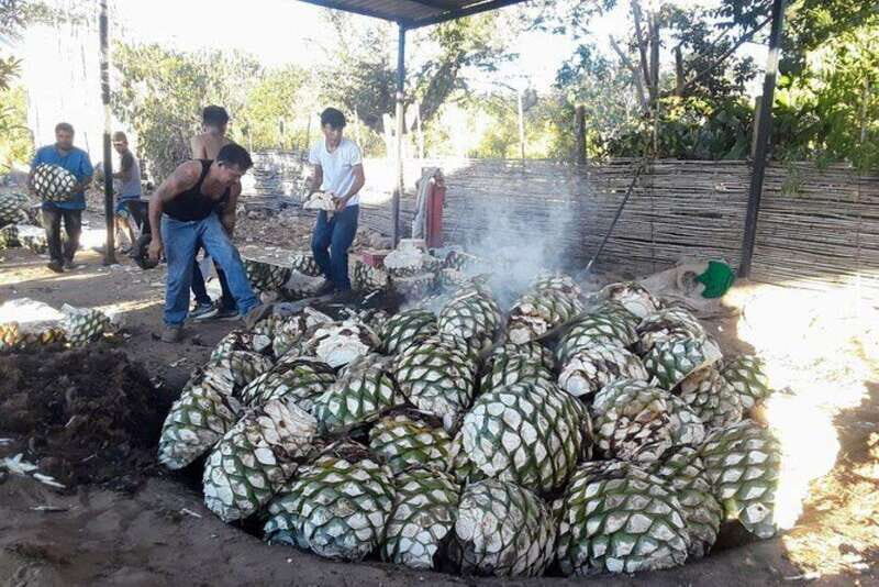 Oaxaca: Ancestral Mezcal Tasting in Ocotlan Valley - Final Thoughts