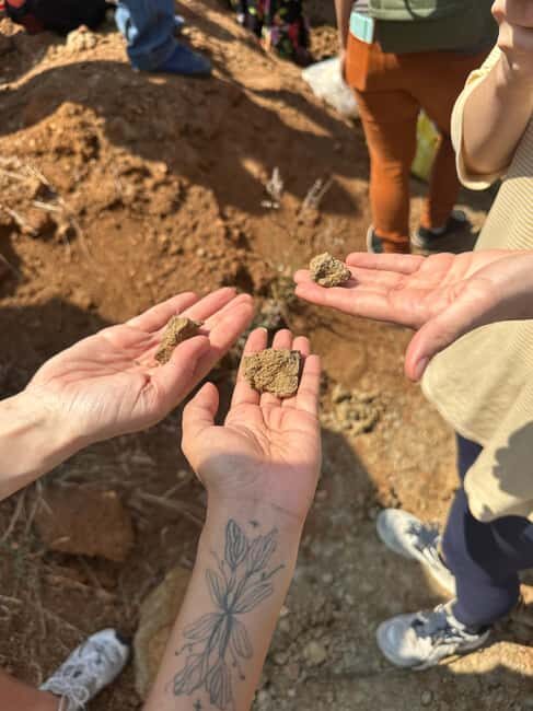 Oaxaca: Artisan Clay Pottery Workshop w/Breakfast and Brunch - What Travelers Say