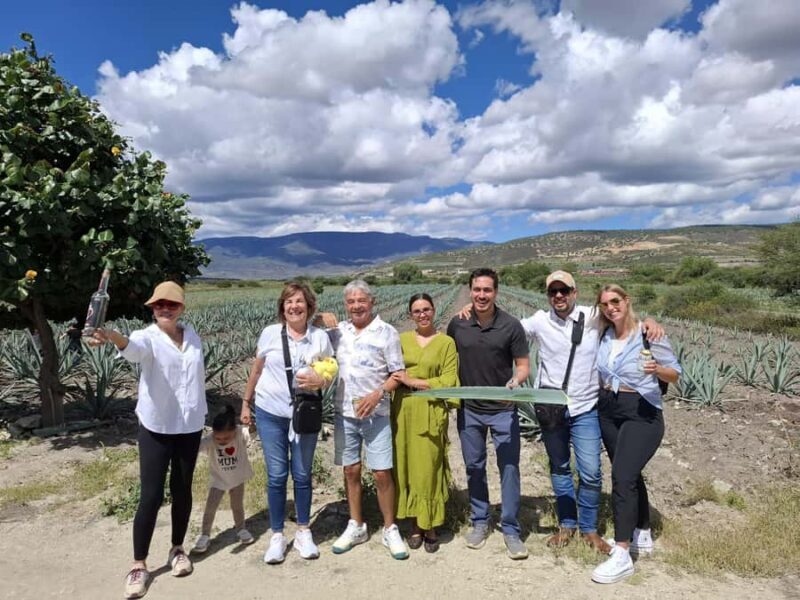 Oaxaca: Barrel-Bus Tour with Pulque, Agave & Mezcal Tastings - The Sum Up: Who Will Love This Tour?