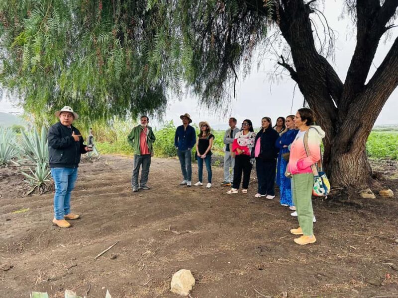 Oaxaca: Barrel-Bus Tour with Pulque, Agave & Mezcal Tastings - FAQ