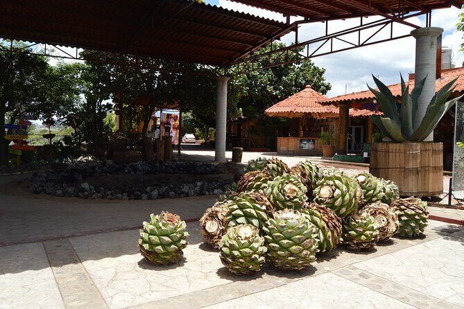 Oaxaca : Boil the water, Mitla and Cocoa (Entries included). - Analyzing the Value