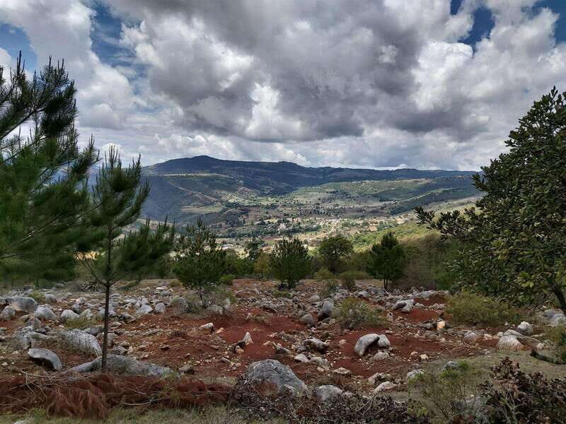 Oaxaca: Cascadas de Apoala 1 Day Bike and Hike tour - The Authentic Experience: What Travelers Say
