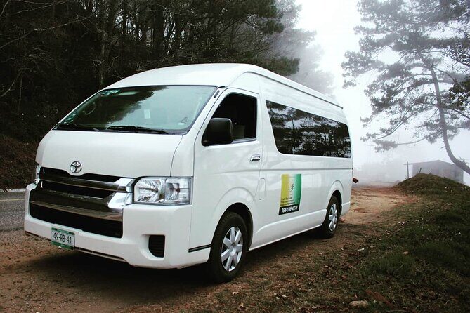 Oaxaca City Private vehicle with Guide - A Closer Look at the Oaxaca City Private Tour
