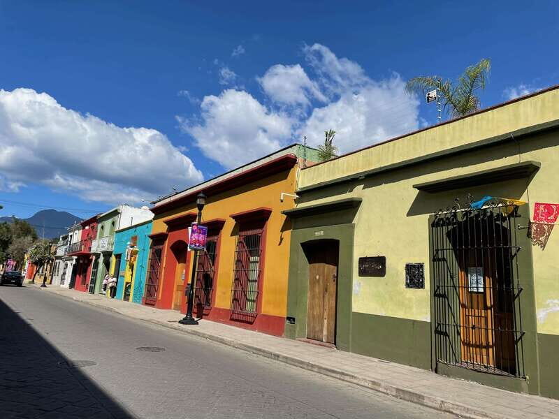 Oaxaca City Walking Tour - Markets, Textile museum & Lunch - Midday Break: Local Flavors at La Cosecha Market