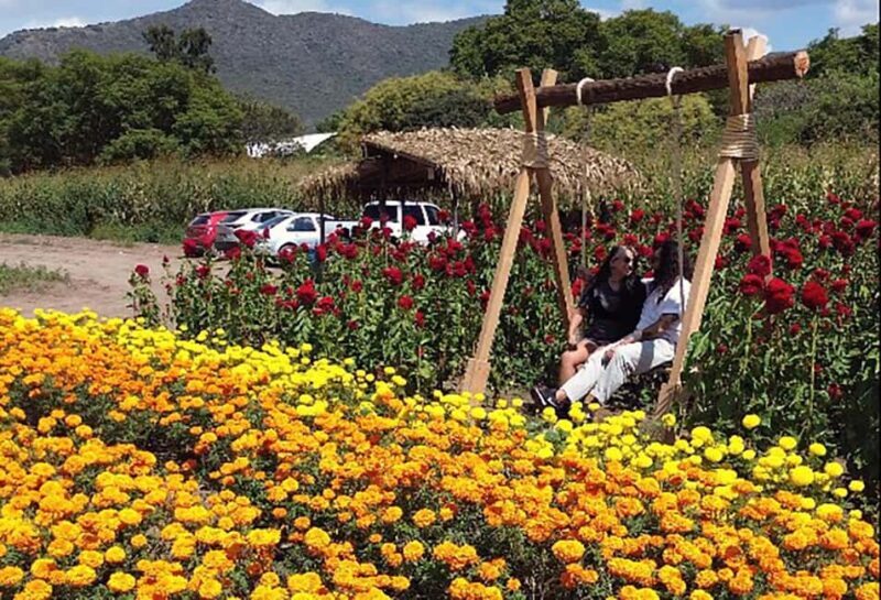 Oaxaca: Day of the Dead Altar Workshop with Meal - Final Thoughts