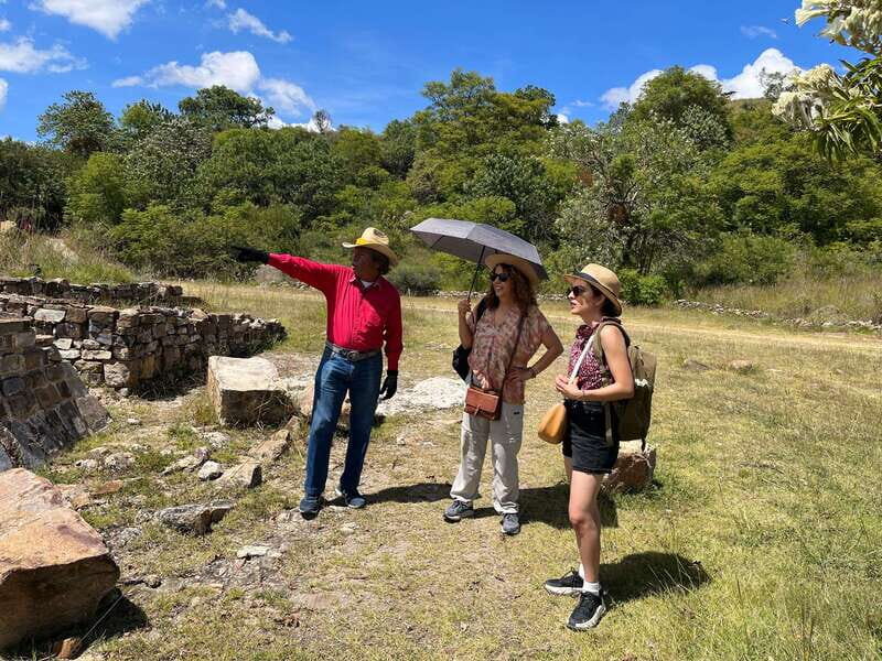 Oaxaca de Juarez: Monte Alban Half-Day Tour - Key Points