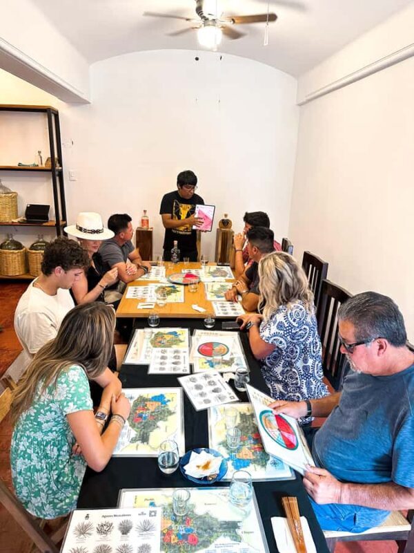 Oaxaca: Discover Mezcal History and Culture with a Tasting - Key Points