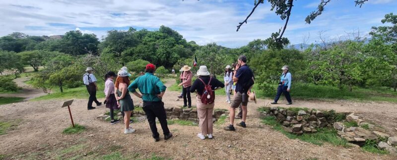 Oaxaca: Discover Monte Albán and the markets of Oaxaca - Practical details: what to expect