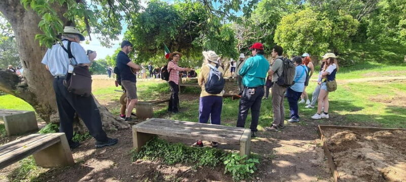 Oaxaca: Discover Monte Albán and the markets of Oaxaca - Final thoughts: Who will love this tour?