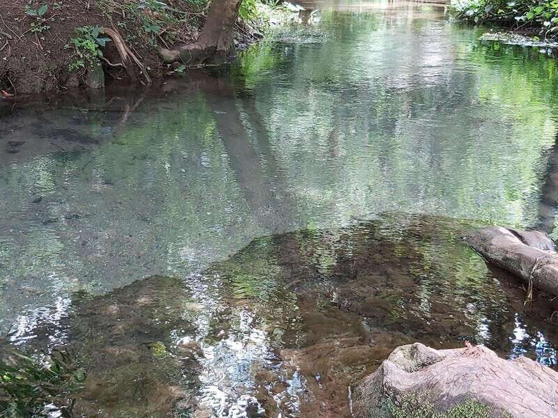 Oaxaca: Ejutla Canyon 1 Day Bike Tour - Frequently Asked Questions (FAQs)