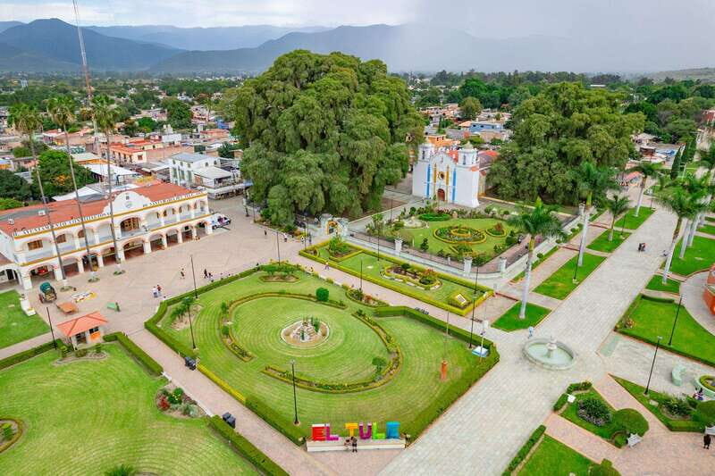 Oaxaca: El Tule tree, Teotitlan Village & Mezcal Tour - What to Expect on the Tour