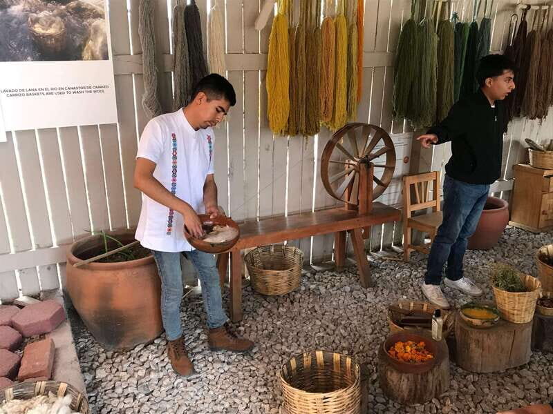 Oaxaca: El Tule tree, Teotitlan Village & Mezcal Tour - Who Is This Tour Best For?