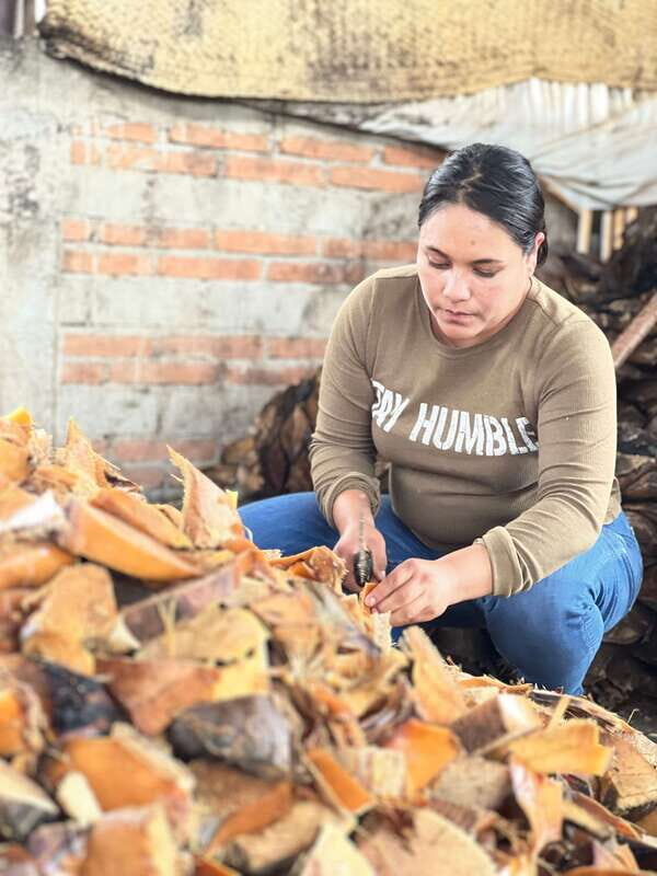 Oaxaca: Empowering Women Private Tour - Key Points