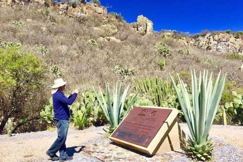 Oaxaca: Exclusive Private Yagul UNESCO Heritage Site Tour - Final Thoughts