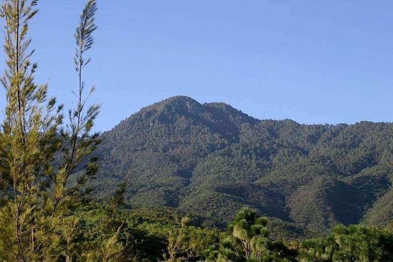 Oaxaca: Forest and Nature Walking Experience - Exploring Oaxaca’s Forest and Cultural Treasures
