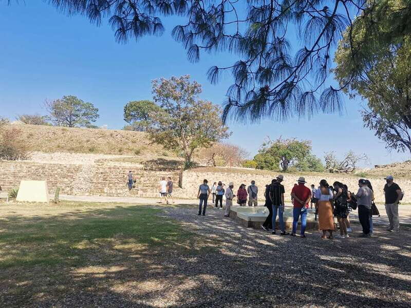 Oaxaca: Full Day Guided Tour on the Monte Alban Route - An Introduction to the Tour Experience