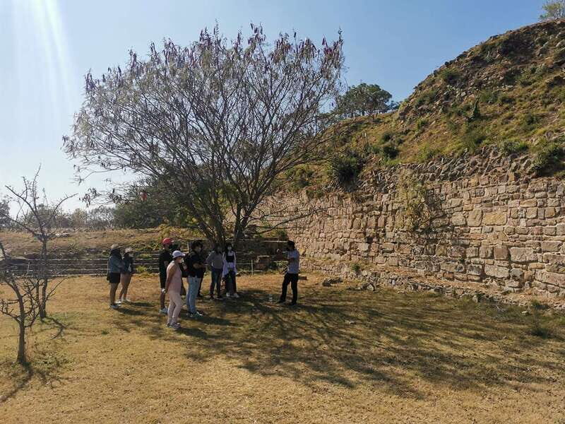 Oaxaca: Full Day Guided Tour on the Monte Alban Route - Artistic Insights in Traditional Workshops