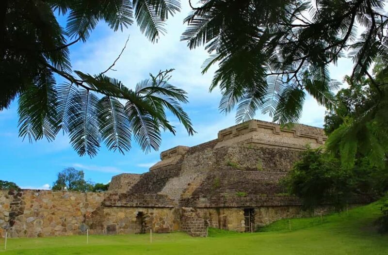 Oaxaca: full-day tour of Monte Alban, ancestral mezcal, alebrijes, and black mud - Discovering Ancestral Mezcal