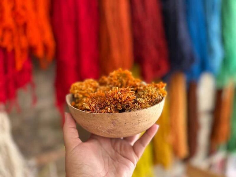 Oaxaca Hierve el Agua, Mitla, Árbol del Tule & Mezcal All-Inclusive - Key Points