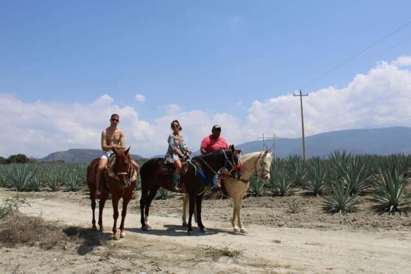 Oaxaca: Horseback Riding and Mezcal Tasting Tour - Exploring the Itinerary: A Day in Oaxaca’s Countryside