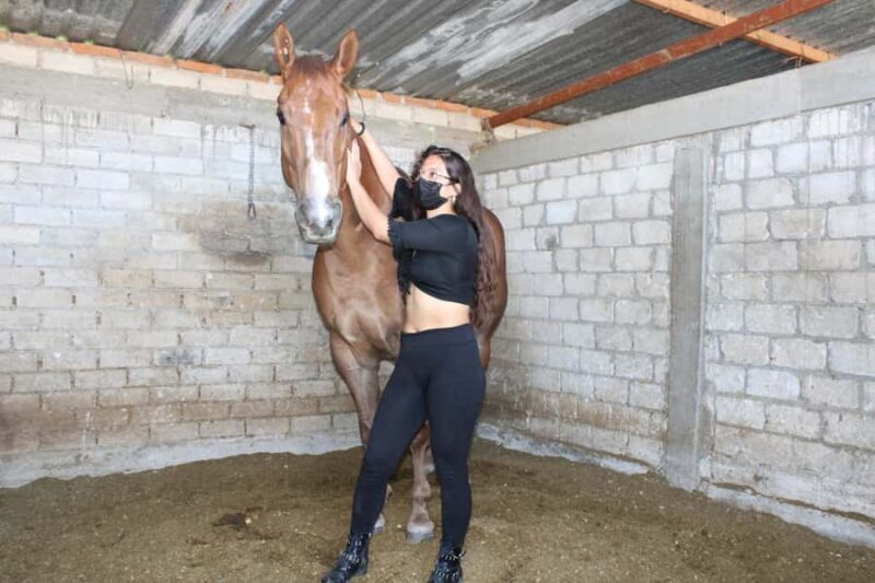 Oaxaca: Horseback Riding and Mezcal Tasting Tour - The Sum Up: Who Will Love This Tour?