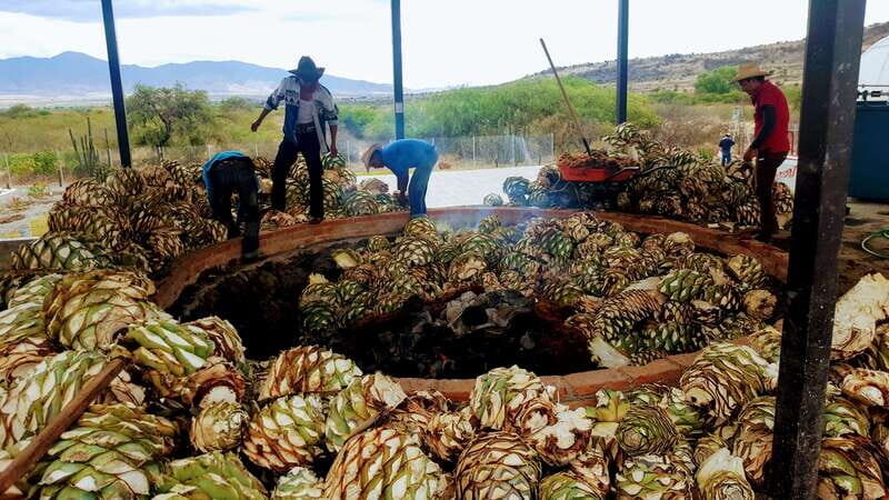 Oaxaca: Mezcal Adventure - Final Thoughts