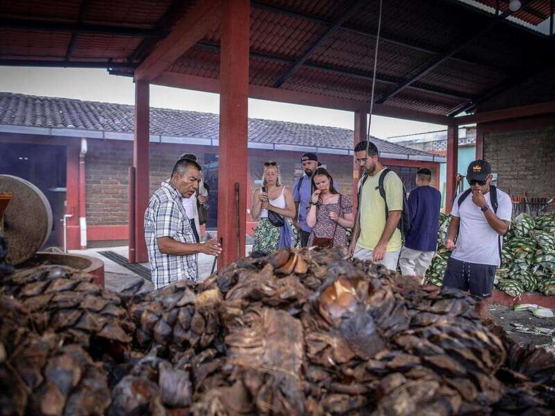 Oaxaca: Mezcal Distillery Tour with Tastings - Unearthing Oaxaca’s Most Iconic Spirit: The Mezcal Distillery Tour with Tastings