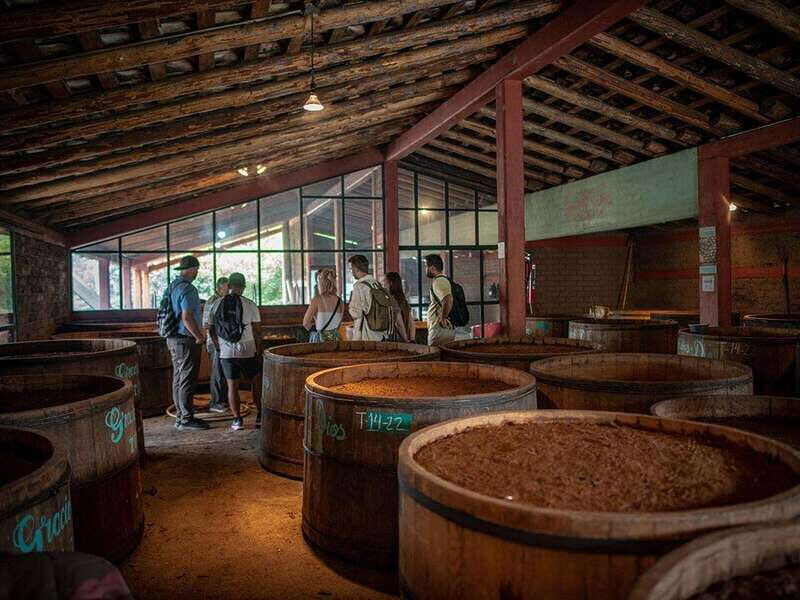 Oaxaca: Mezcal Distillery Tour with Tastings - Who Will Love This Tour?