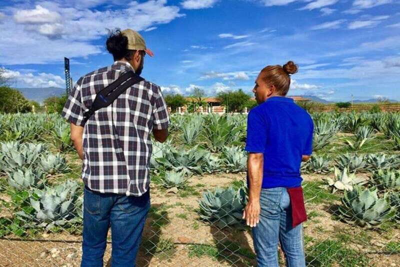 Oaxaca: Private Gastronomy and Culture Tour - Final Thoughts: Who Will Appreciate This Tour?