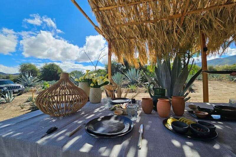 Oaxaca: Private Lunch in Maguey Fields with Mezcal Tasting - Key Points