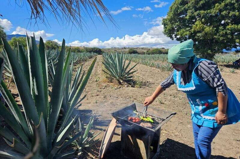 Oaxaca: Private Lunch in Maguey Fields with Mezcal Tasting - An Inside Look at the Experience