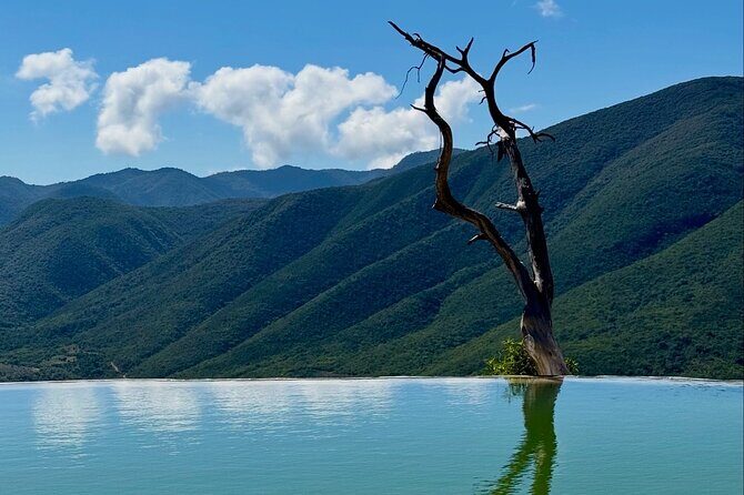 Oaxaca Private Tour 3 Days Monte Albany and Mitla and City - Value for Money