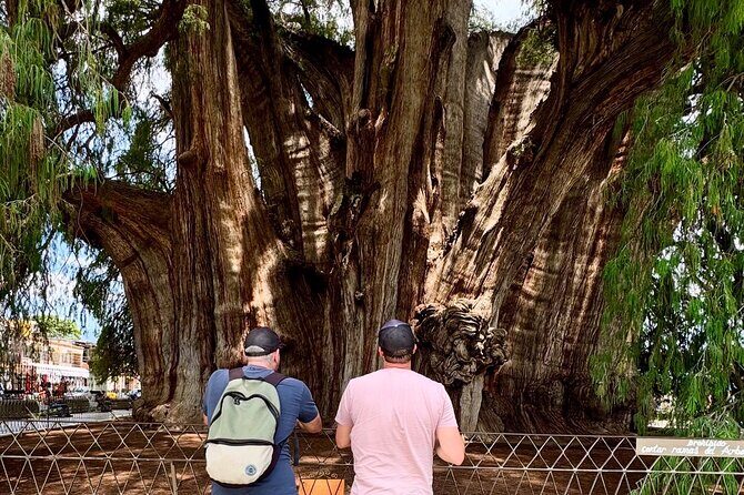 Oaxaca Private Tour 3 Days Monte Albany and Mitla and City - FAQs