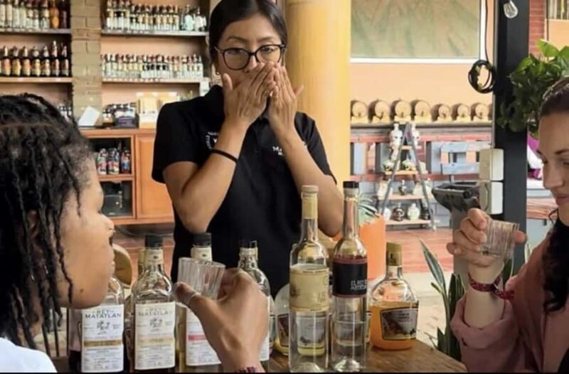 Oaxaca: Private tour to Monte Albán, El Tule Tree, and Teotitlán - Exploring the Day in Detail