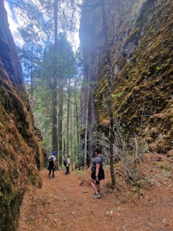 Oaxaca: Pueblos Mancomunados Hiking Tour - Exploring the Itinerary: What You Can Expect