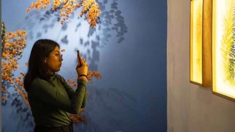 Oaxaca Renowned Art Galleries and Traditions in Private Tour - Oaxaca Renowned Art Galleries and Traditions in Private Tour