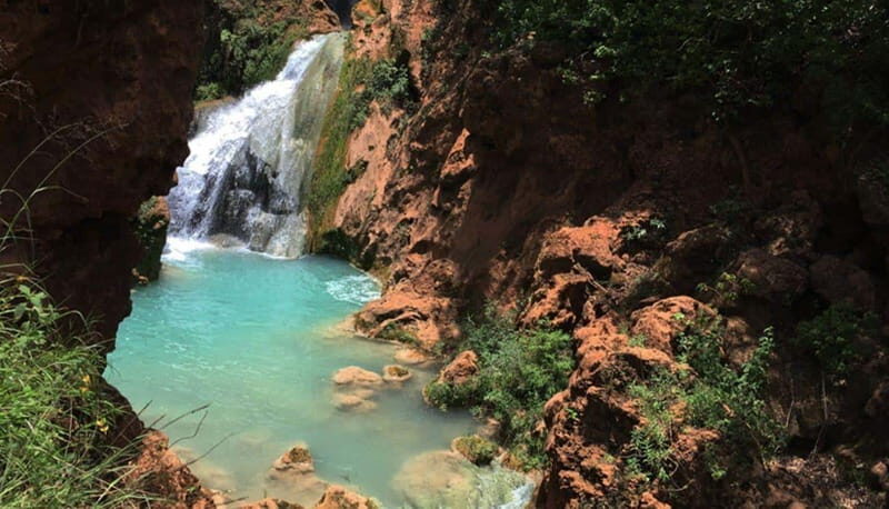 Oaxaca: Santiago Apoala Waterfall Day Trip with Transfers - Discovering the Santiago Apoala Waterfall Day Trip: A Genuine Look