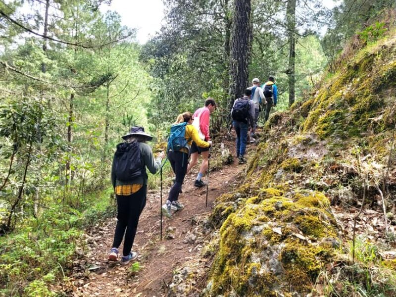 Oaxaca: Sierra Norte Ixtepeji Guided Hike & Lunch, Half-Day - Introduction: A Scenic Escape with Authentic Flavor