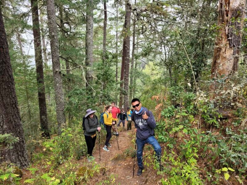 Oaxaca: Sierra Norte Ixtepeji Guided Hike & Lunch, Half-Day - What We Loved About This Tour