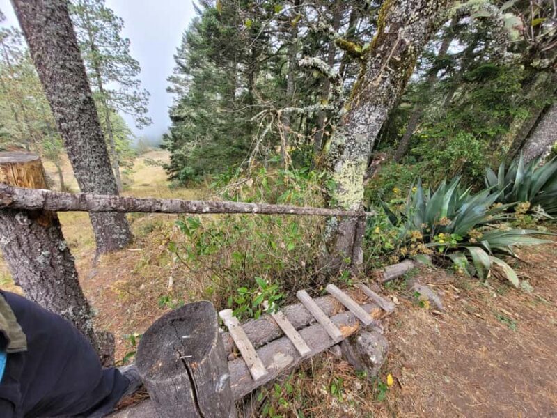 Oaxaca: Sierra Norte Ixtepeji Guided Hike & Lunch, Half-Day - FAQs