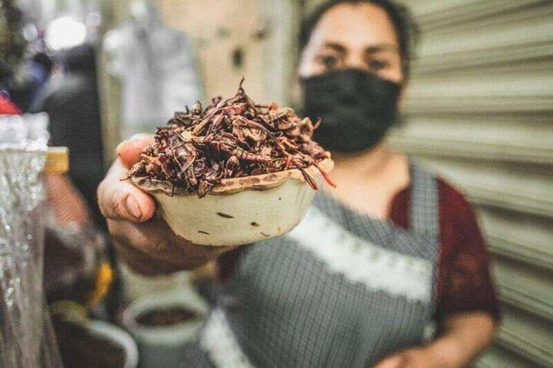 Oaxaca: Signature Markets Food Tour - Final Thoughts