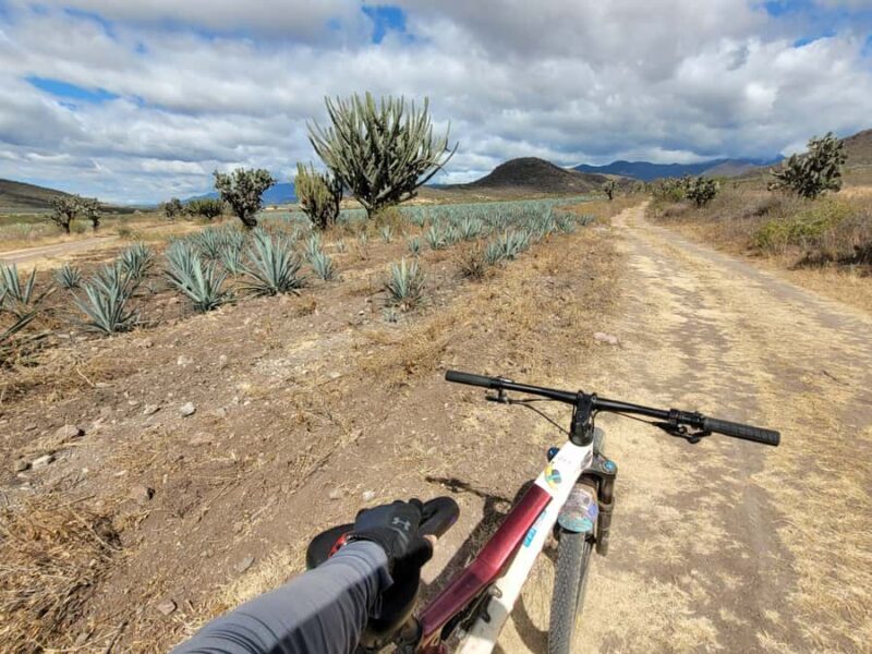 Oaxaca: Spicy MTB Trails & Spicier Tacos - Key Points