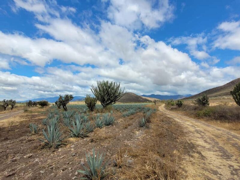 Oaxaca: Spicy MTB Trails & Spicier Tacos - Final Thoughts: Is It Worth It?