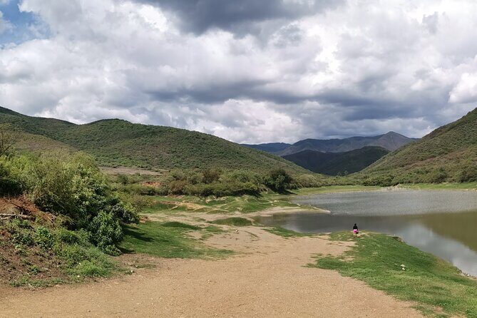 Oaxaca to Tule Tree Bike Tour - 6 hours - What Travelers Say