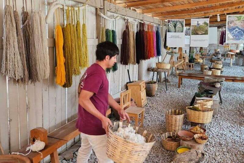 Oaxaca: Traditional Market Private Tour - Introduction